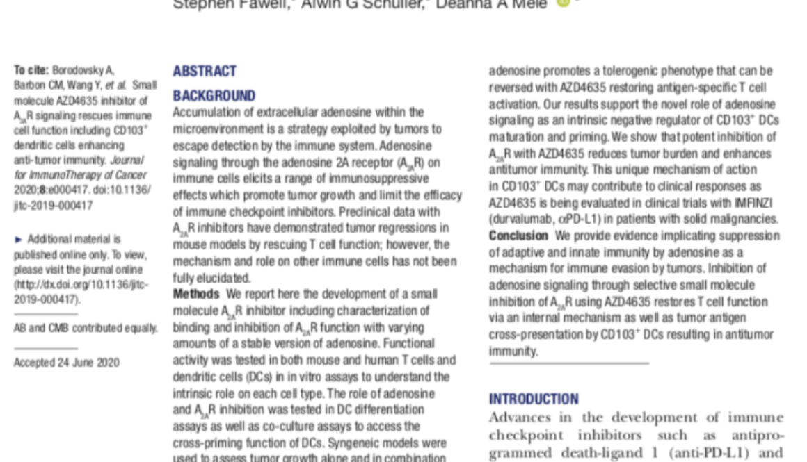 Publications – leadXpro